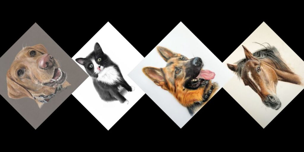 Which paper for my pet portrait? - Louise Green Animal Artist